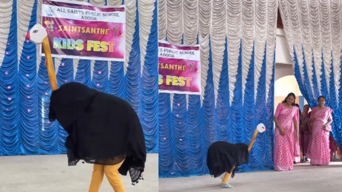 Did this ostrich just lay an egg? Kerala kid's fancy dress act leaves ...