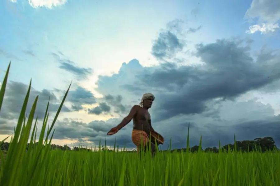 Today is Chingam 1: Kerala welcomes Malayalam New Year with hope and ...