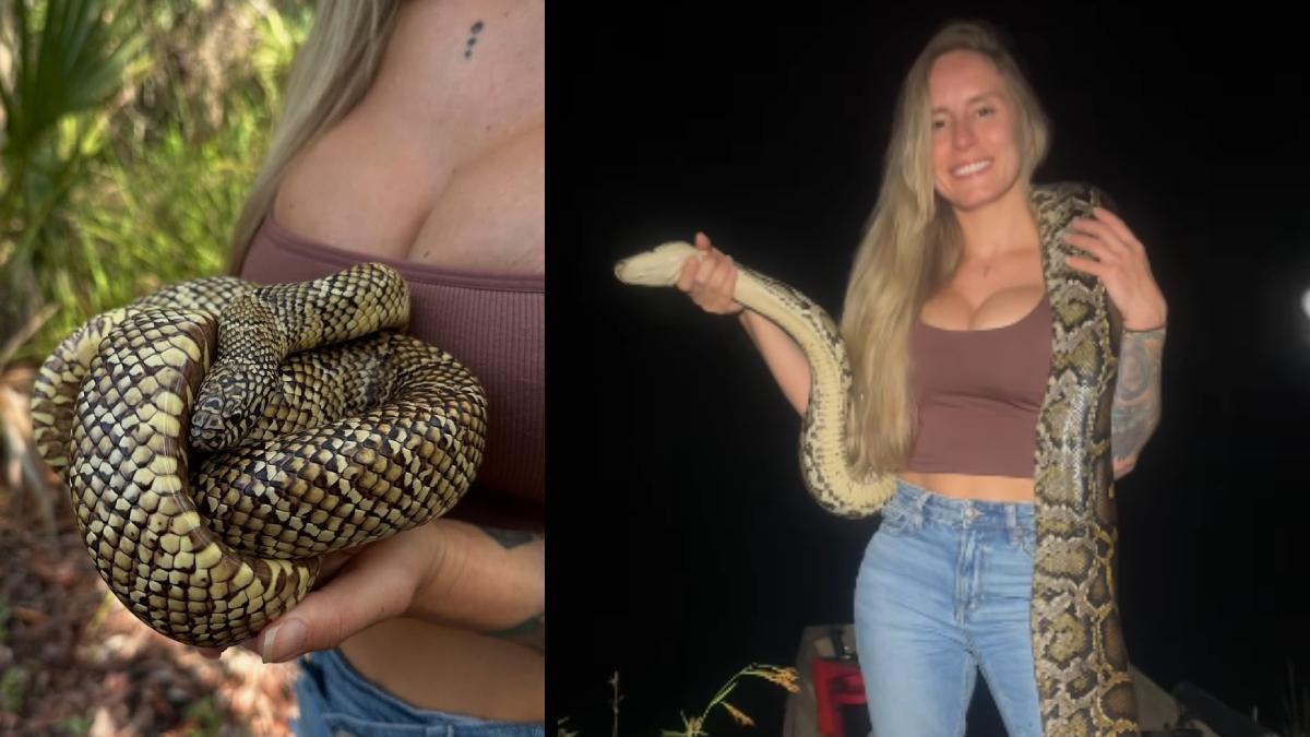 60 പെരുമ്പാമ്പിനെ പിടികൂടിക്കൊന്നു, പൈത്തൺ ചലഞ്ചിൽ മുന്നിലെത്തിയ വേട്ടക്കാരി