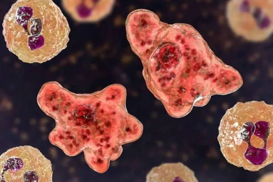 One more case of amoebic meningoencephalitis confirmed in Kerala; total ...