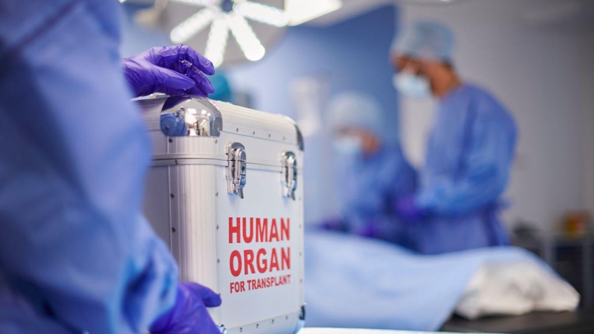 Pakistan’s organ trafficking racket thrives ‘under the very nose of the ...