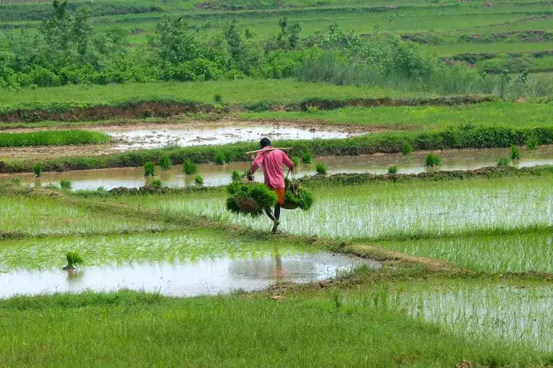 Tenant farming in Kerala to be legalised under new licence system ...