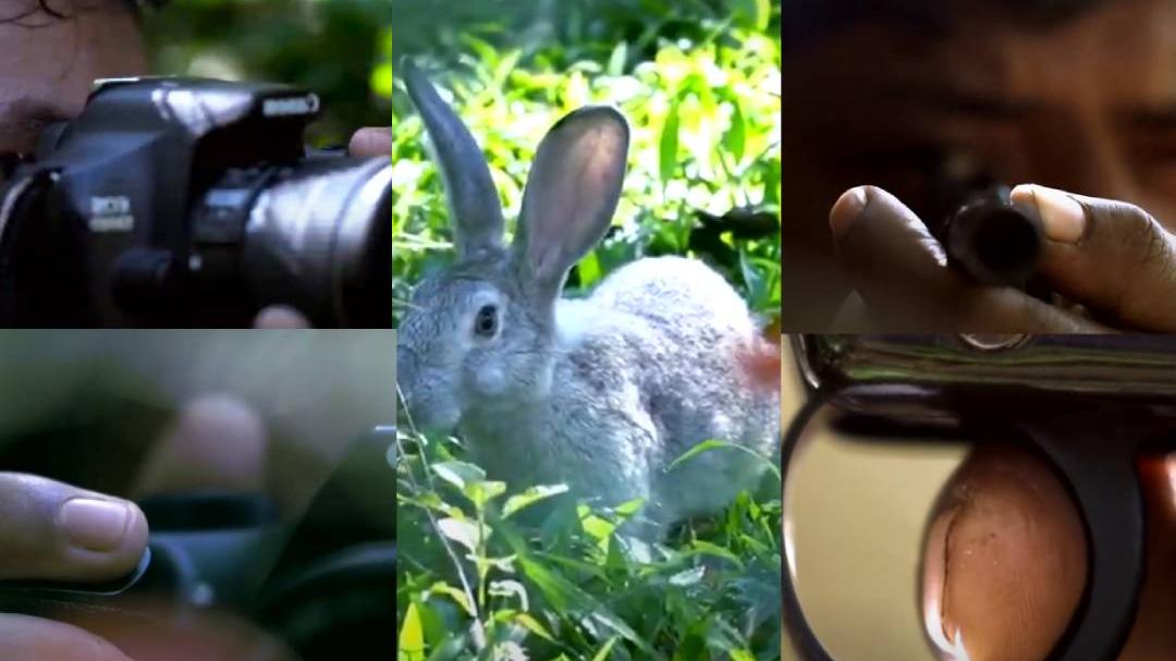 കാഴ്ചയും കാഴ്ചപ്പാടും തമ്മിലുള്ള വ്യത്യാസം ഇത്രയും ലളിതം