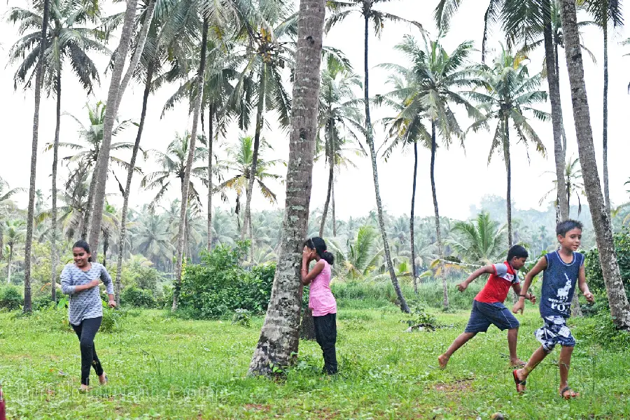 സി.ബി.എസ്.ഇ. കുട്ടികള്‍ ഇനി കളി പഠിക്കും; പാഠപുസ്തകത്തില്‍ ഇനി ...