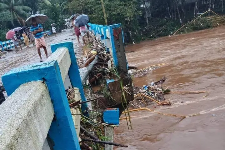 ഒഴുകിയെത്തിയ മരങ്ങളിടിച്ച് ചേനപ്പാടി കടവനാൽകടവ് പാലം തെന്നി നീങ്ങി ...