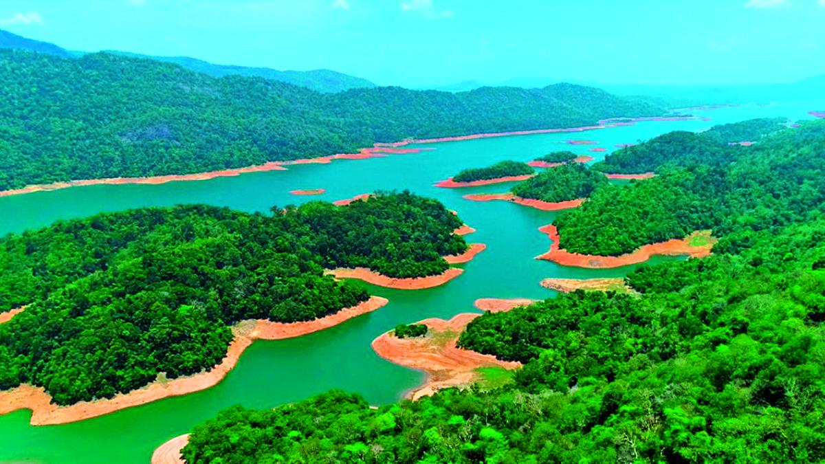 പരപ്പാര്‍ ഡാമിലെ തുരുത്തില്‍ മുളംകൂടാരത്തില്‍ രാപാര്‍ക്കാം ...