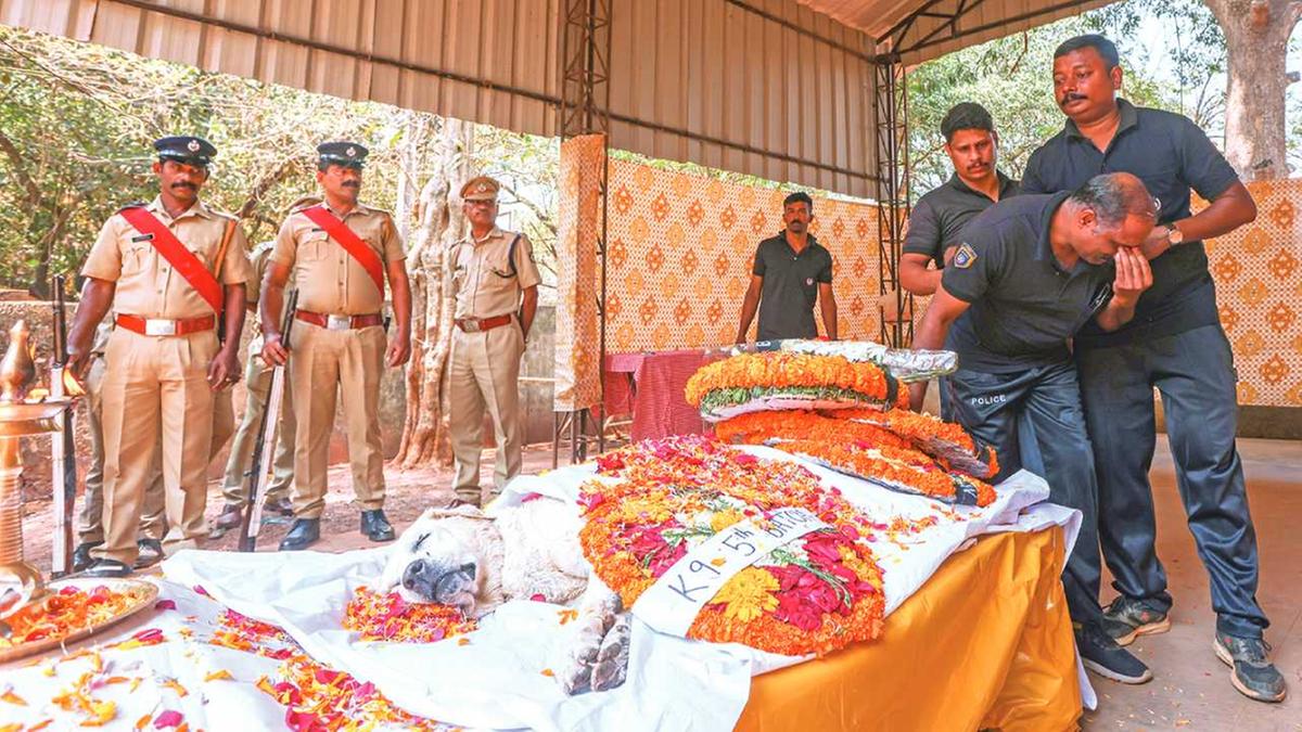 പ്രിയപ്പെട്ട ബെല്ല യാത്രയായി, കണ്ണീരണിഞ്ഞ് ജിലേഷ് | Mathrubhumi