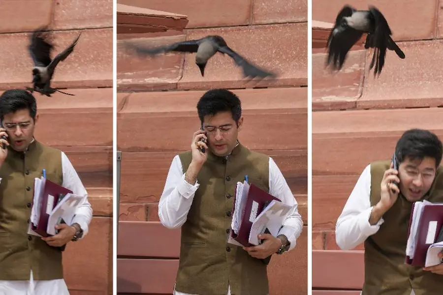 'കള്ളം പറഞ്ഞാല്‍ കാക്ക കൊത്തും'; AAP MP രാഘവ് ഛദ്ദയുടെ ചിത്രം ...