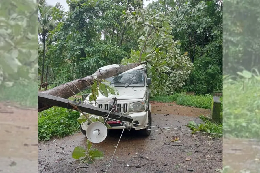 ജലസേചന വകുപ്പിന്‍റെ ജീപ്പിനു മുകളില്‍ മരം വീണു; ഡ്രൈവര്‍ രക്ഷപ്പെട്ടത് ...