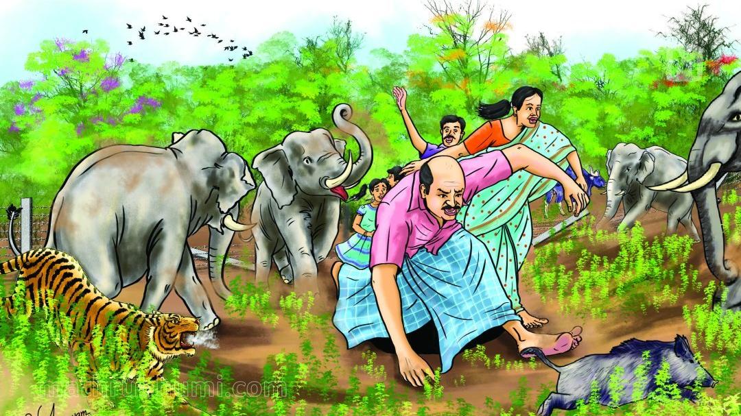 പാമ്പുകടിച്ചും കടന്നൽക്കുത്തേറ്റും മരിച്ചാൽ 4 ലക്ഷം; വന്യജീവി ...
