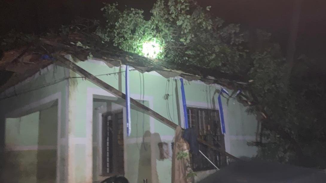 കണ്ണൂരിൽ വീടിന് മുകളിൽ മരം പൊട്ടി വീണ് വയോധികൻ മരിച്ചു | Mathrubhumi