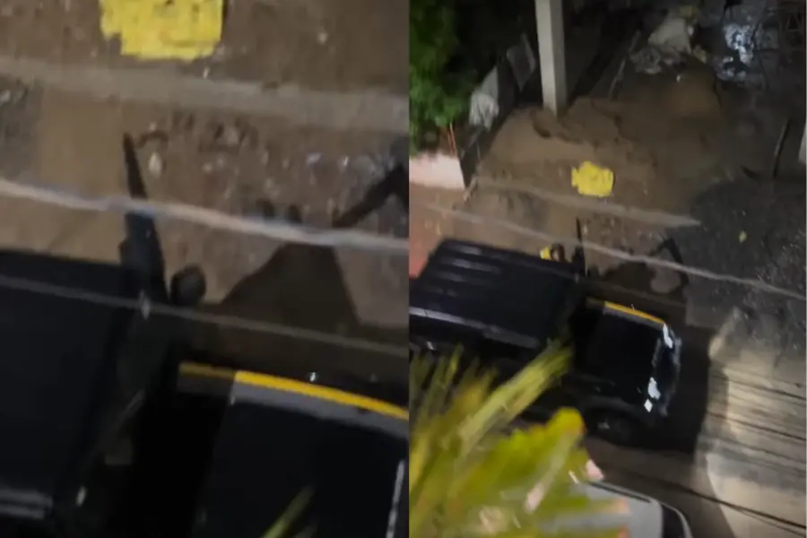 Customer shocked as Blinkit order arrives in a Thar, video goes viral ...