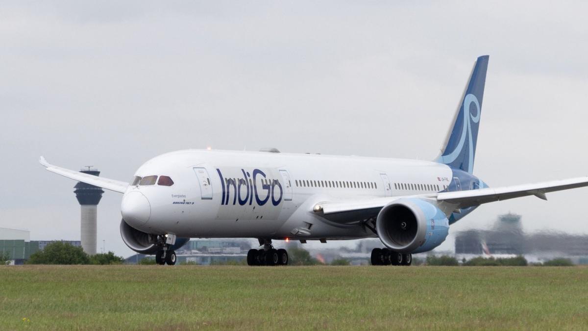 Rat on board! IndiGo flight delayed by 3 hours at Kanpur airport ...