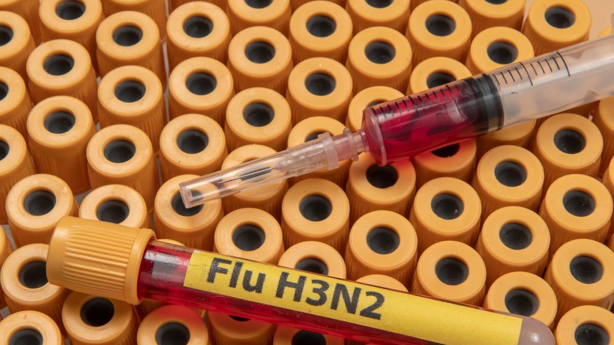 Changing weather drives H3N2 flu in Delhi-NCR; Children, elderly ...