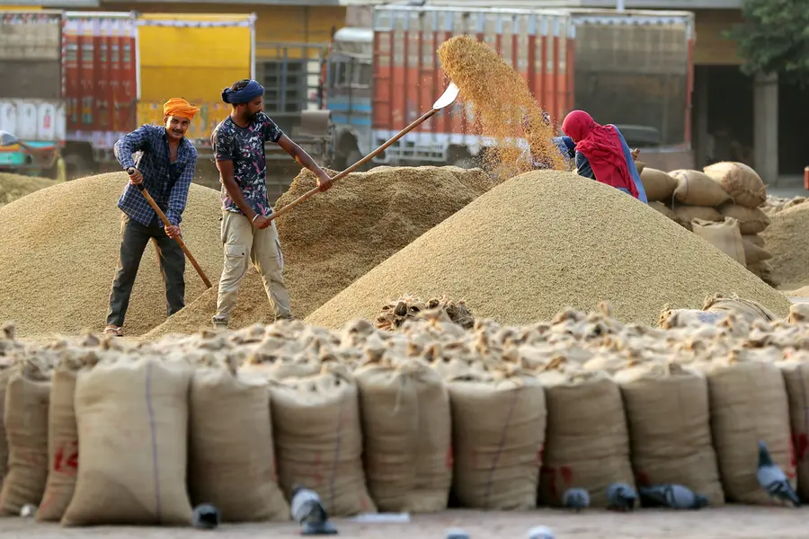 Kerala Bank all set to take over paddy procurement with cooperative ...