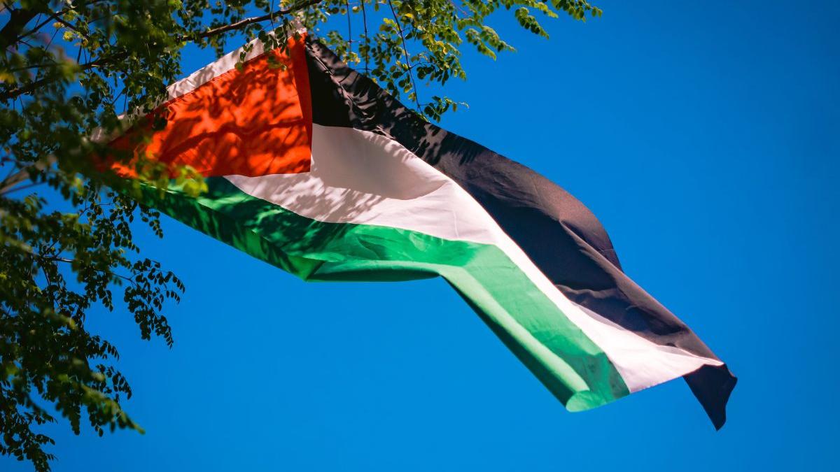 MSF and SFI protest as teachers stop pro-Palestine mime show in Kerala ...