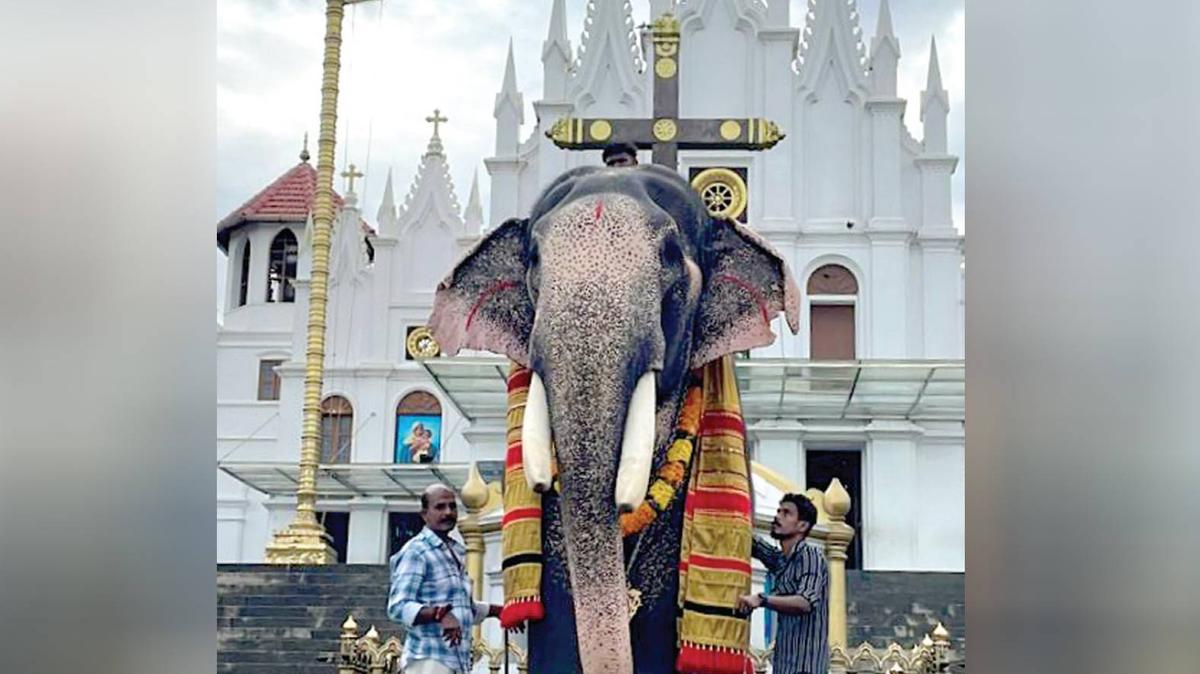 ഇരണ്ടക്കെട്ട് ഭേദമായി; ‘പുതുപ്പള്ളി സാധു’ പുതുപ്പള്ളി പള്ളിയിൽ, ക ...