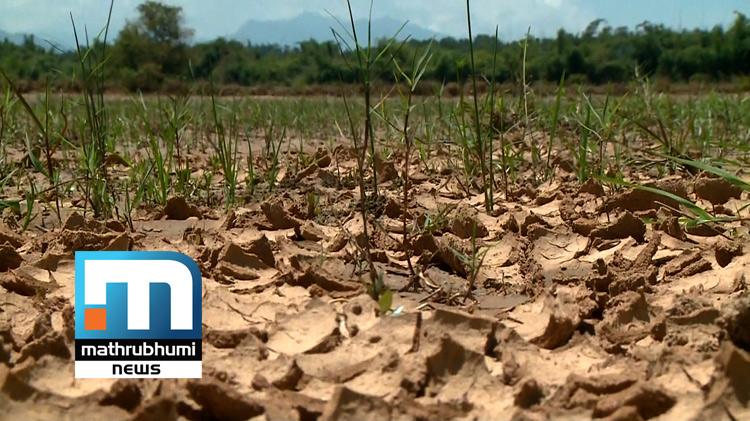 Deluge Is Man-Made; Wayanad To Be Desertified | Mathrubhumi TV