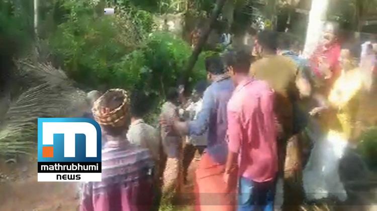 Protests Erupt Over Felling Of Coconut Trees In Pothencode | Mathrubhumi TV