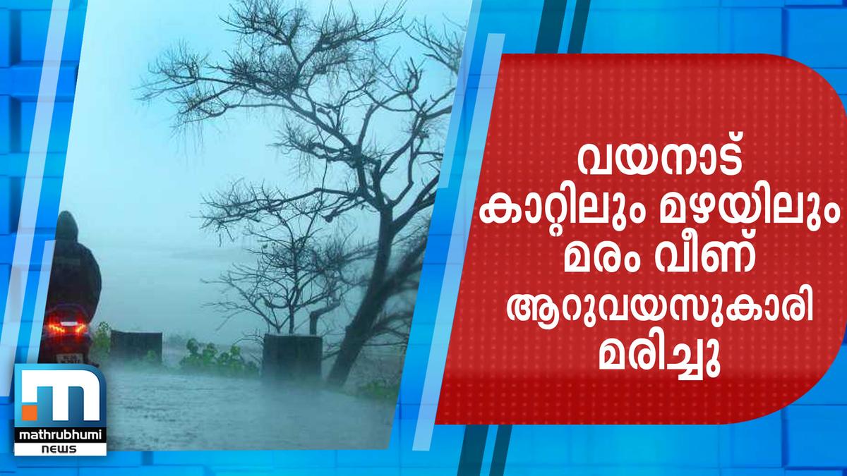 6-Year-Old Girl Killed In Wayanad's Valad As Tree Falls On House ...