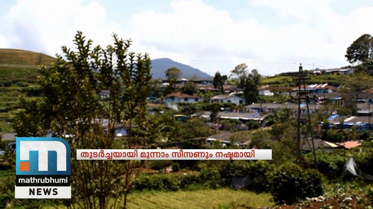 Tourism Sector In Munnar In Severe Crisis After Losing 3 Seasons ...