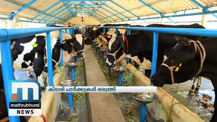 Kerala's First 'Kidari' Park Opens At Moolathara In Palakkad