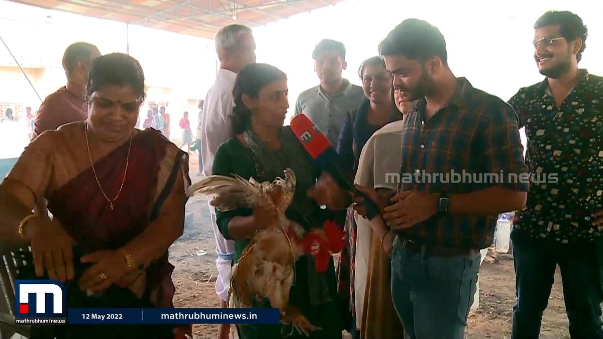 ഇടപ്പള്ളി പള്ളിയിലെ കോഴി നേർച്ചയുടെ ചരിത്രം | Mathrubhumi TV