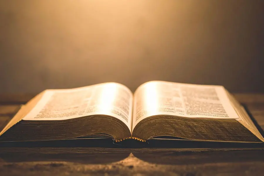 Word of the Day October 22: ‘Vagary’ | Mathrubhumi English