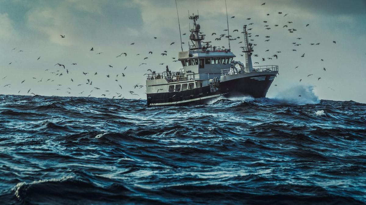 14 Indian fishermen detained by Bangladesh after trawler enters ...