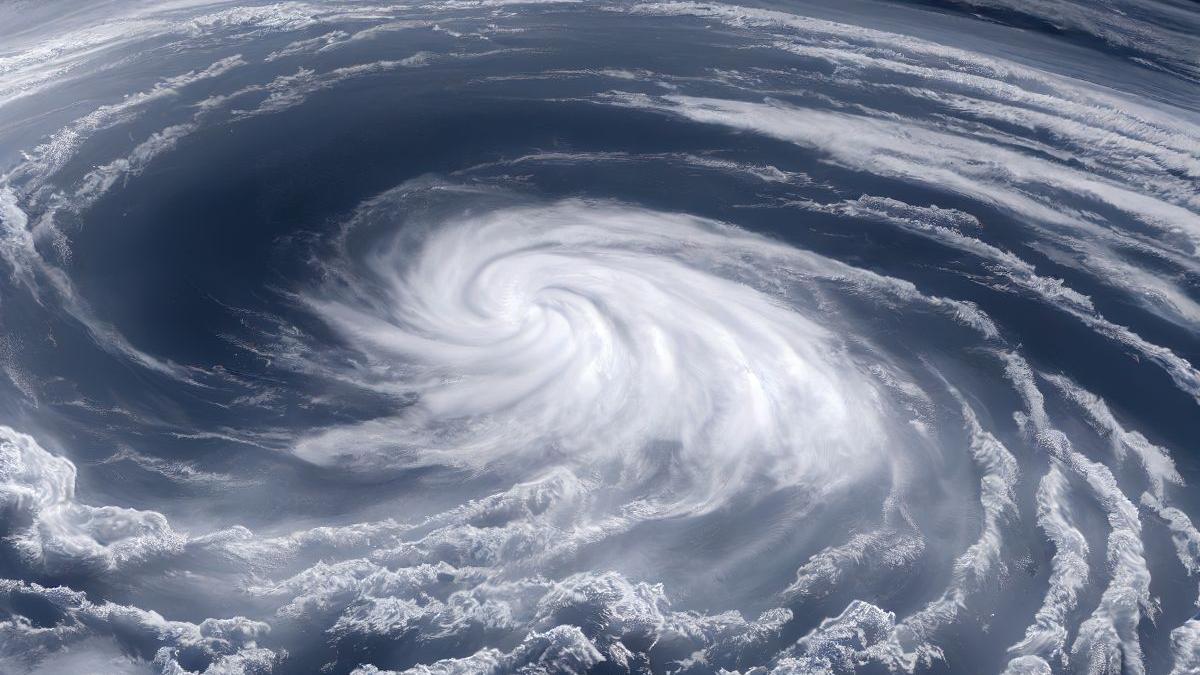 Cyclone Montha makes landfall in Andhra Pradesh; Trees uprooted, power ...