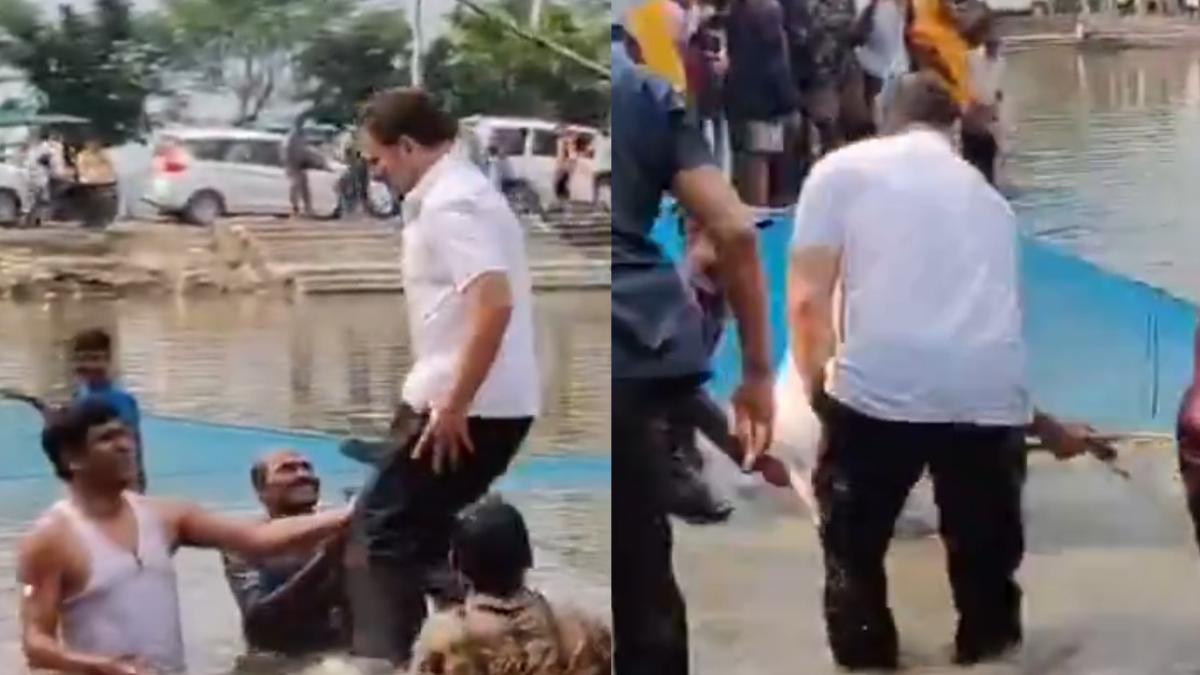 WATCH | Rahul Gandhi jumps into pond, takes part in traditional fish ...