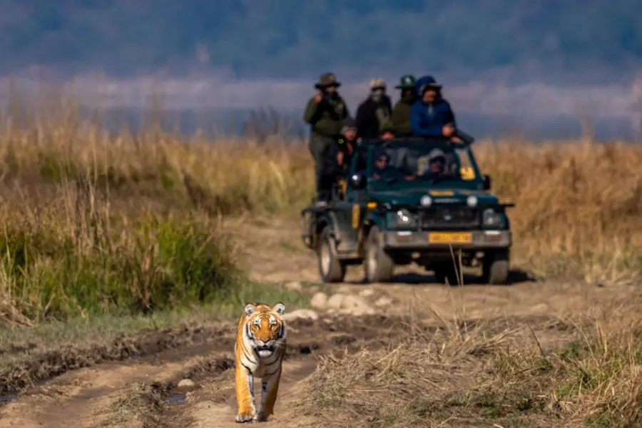 ‘Guide slept through safari, offered tobacco’: Tourist’s Jim Corbett ...