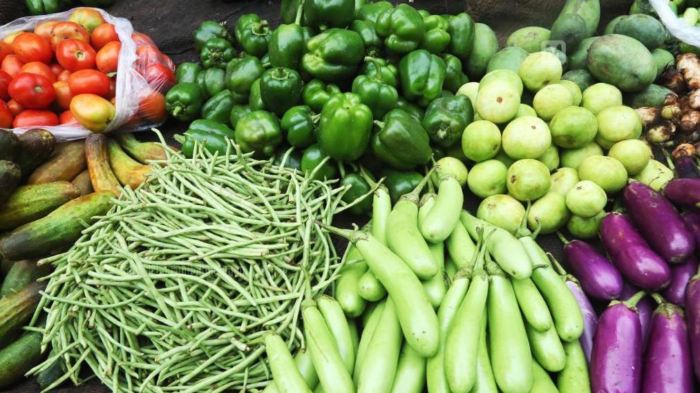 പടവലങ്ങ വില മുകളിലേക്ക്, 30 രൂപയുള്ള കത്തിരിക്കയ്ക്ക് 85 രൂപ; തേങ്ങ വില ...