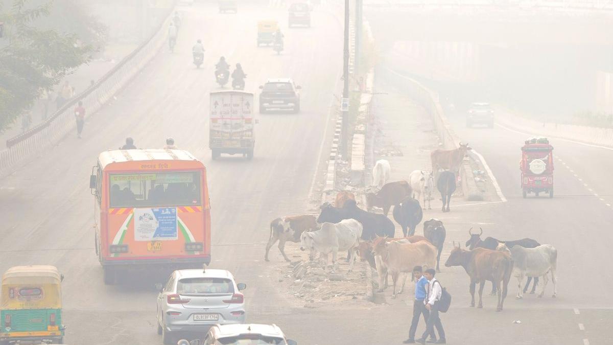 Delhi pollution crisis: Govt changes office hours from Nov 15 to reduce ...