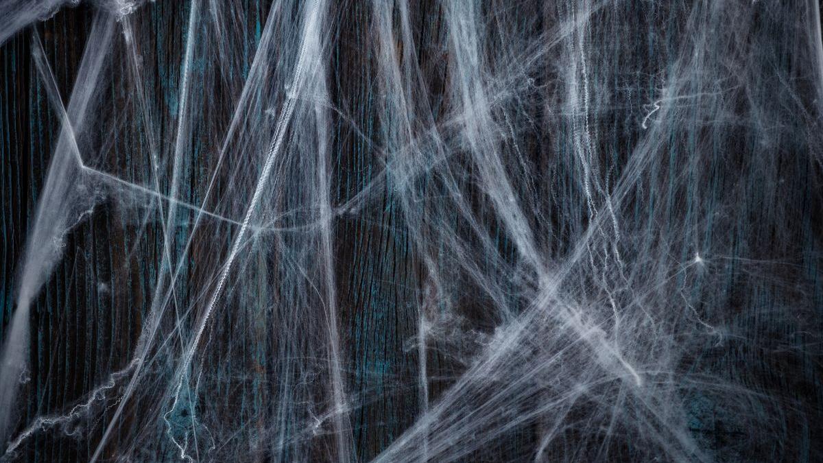 Rare alliance of over 1 lakh spiders, a megacity: A toxic cave now ...