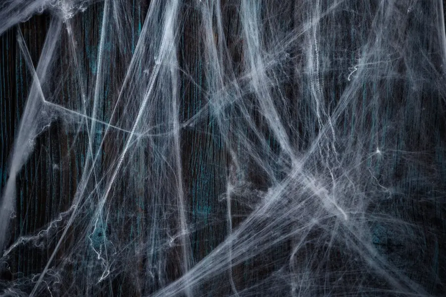 Rare alliance of over 1 lakh spiders, a megacity: A toxic cave now ...