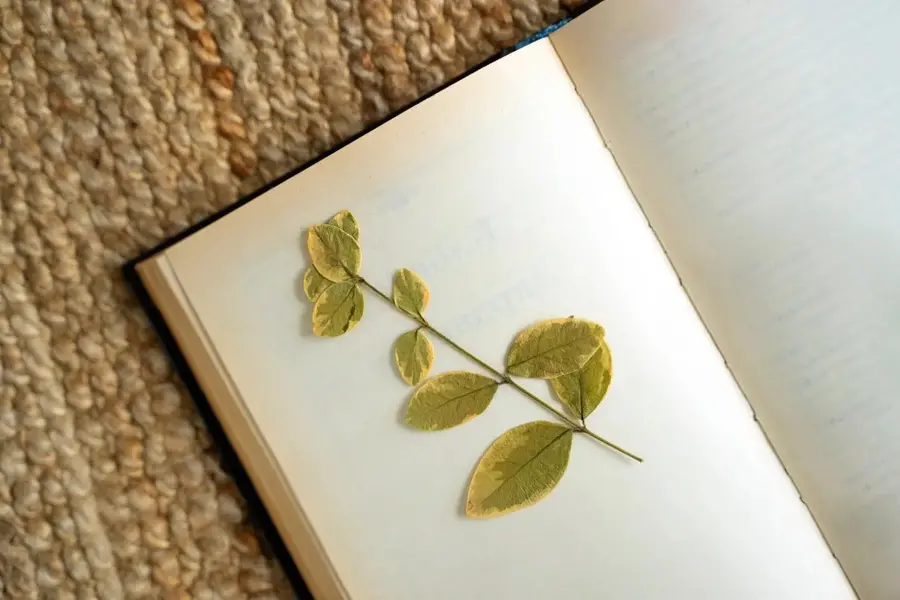 Word of the Day November 14: ‘Consummate’