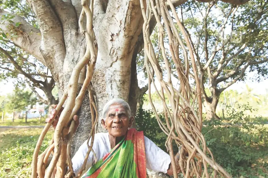 ‘ആല്‍മരങ്ങളുടെ അമ്മ’ സാലുമരദ തിമ്മക്ക അന്തരിച്ചു | Mathrubhumi