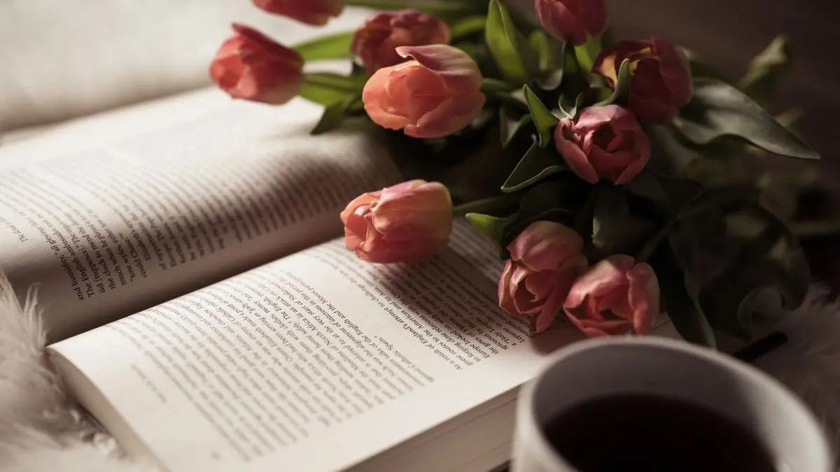 Word of the Day, November 24: 'Wry'