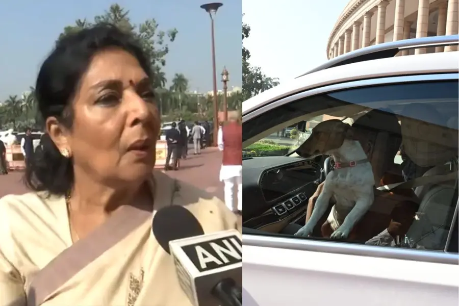 What’s p’up? Congress MP Renuka Chowdhury brings puppy to Parliament, BJP demands apology| WATCH