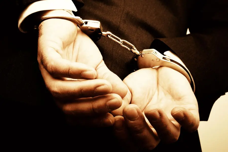 24 terror suspects arrested in Pak's Punjab after CTD foils major ...