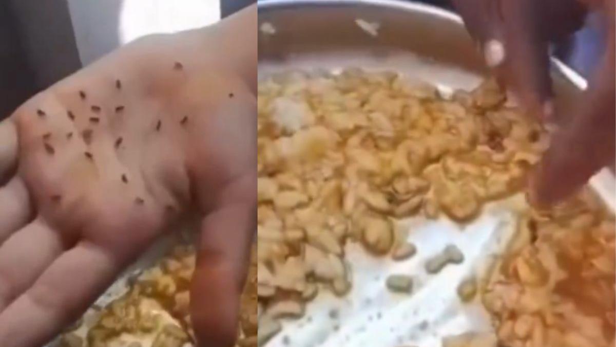 How safe are mid-day meals? Worms found in children’s lunch at a ...