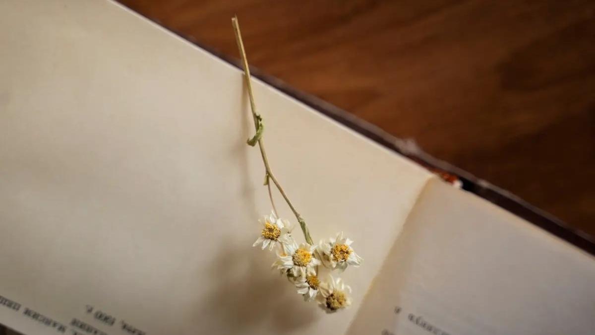 Word of the Day, December 23: 'Smarmy'