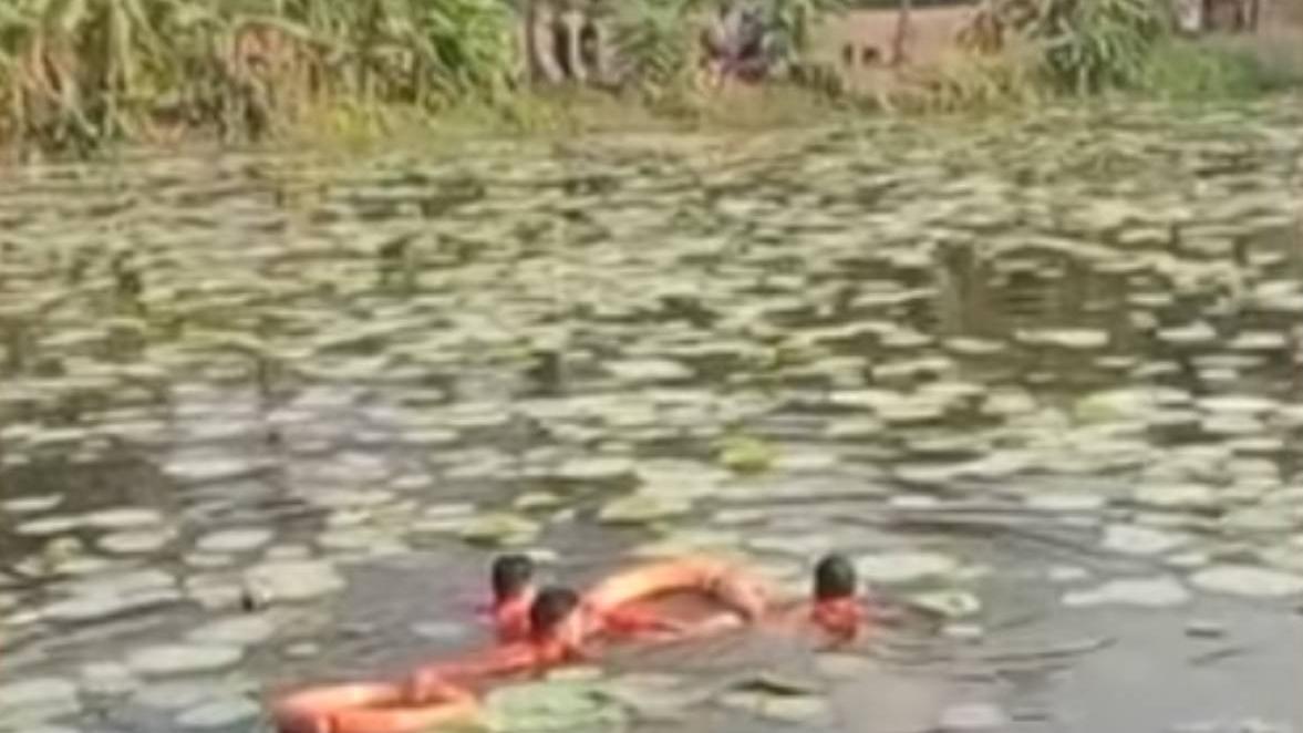 6-year-old boy goes missing in Palakkad; massive search op underway ...