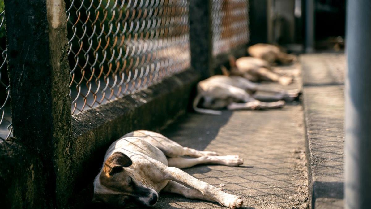 ‘Misinformation’: Delhi govt slams fake claims that teachers were asked ...