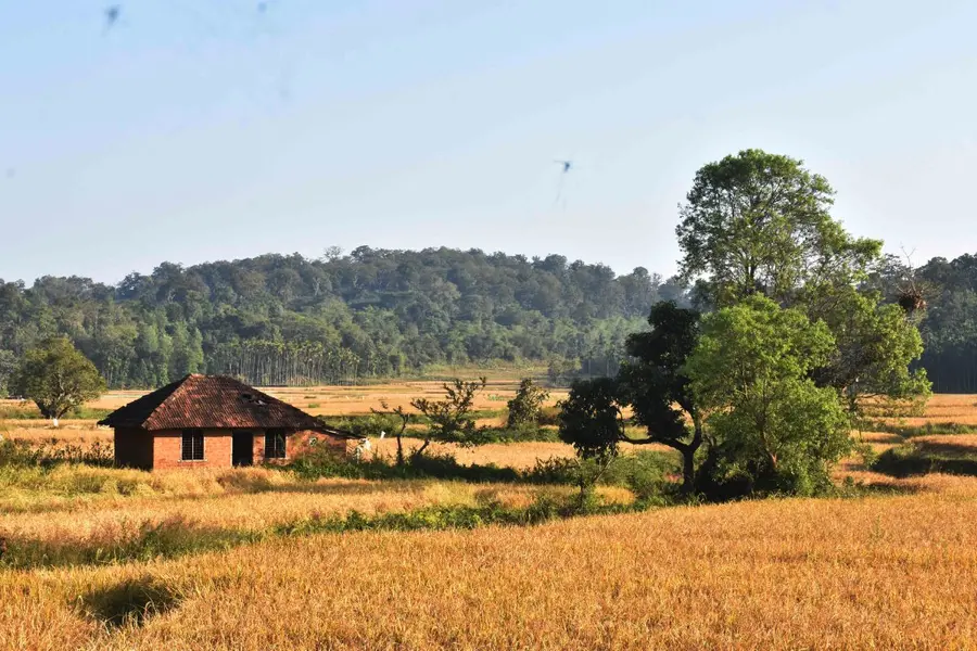 കാലത്തിന്റെ കയ്യൊപ്പായി സഖാവ് വർഗീസും കൂട്ടരും ഇവിടെയുണ്ട്; നെല്ലും ...