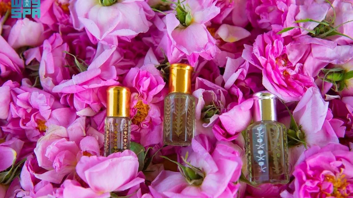 Taif roses remain a favorite for rose enthusiasts | News Minimalist