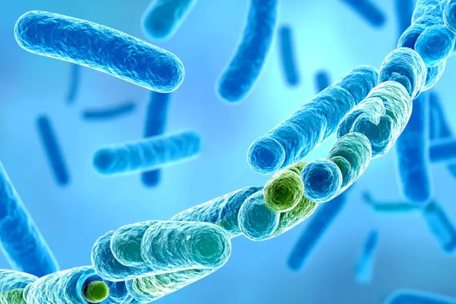 സൂക്ഷ്മാണുക്കളെല്ലാം പ്രശ്നക്കാരല്ല; കേരളത്തിന് ഇനി സ്വന്തം ബാക്ടീരിയ