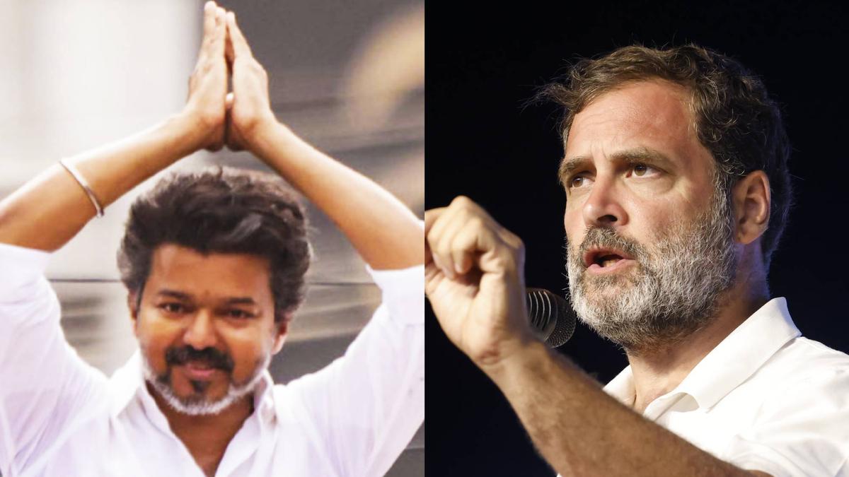 ‘ജനനായകനെ’ പിന്തുണച്ച് രാഹുൽ ഗാന്ധിയുടെ എക്സ് കുറിപ്പ്: ടിവികെയുമായി കോ ...