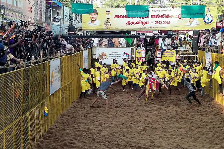 Jallikattu 2026 begins with roaring energy in Madurai as Stalin flags ...